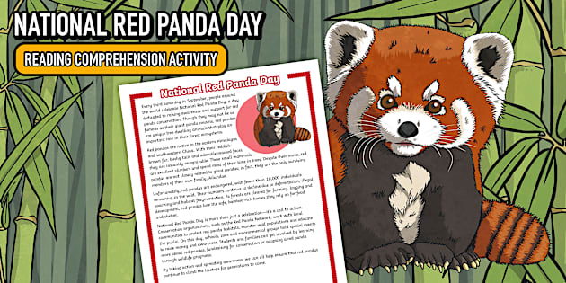 National Red Panda Day Reading Comprehension Activity