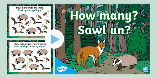 Learn Welsh: Counting to Ten in Welsh and English Forest Animals