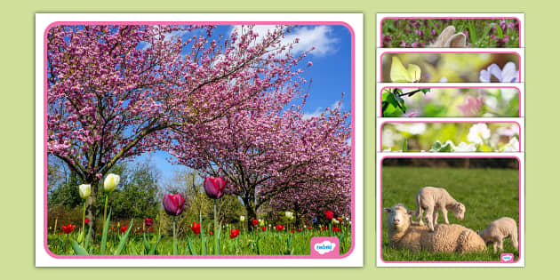 Spring into Learning: A Seasonal Unit - Twinkl Spring into Learning: A Seasonal Unit - Twinkl