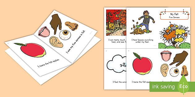 My Fall 5 Senses Emergent Reader (teacher made)