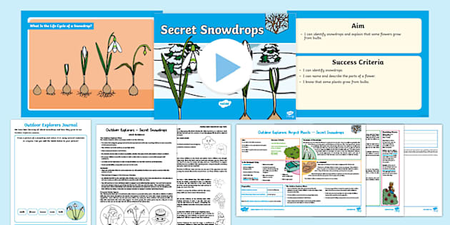 Outdoor Explorers KS1 Winter Lesson 3: Secret Snowdrops