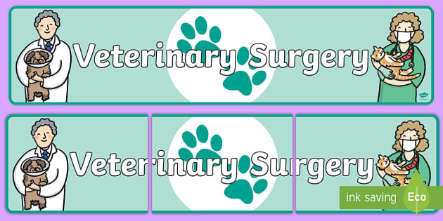 Veterinary Surgery Display Banner - Veterinary Surgery Display Banner