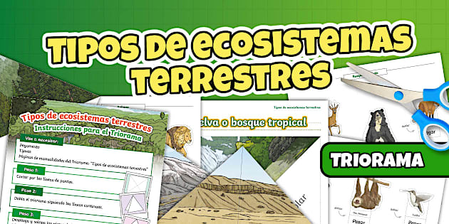 Triorama: Ecosistemas Terrestres - Twinkl Colombia