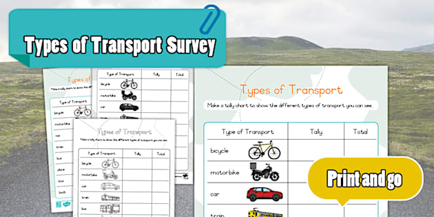 * NEW * Foundation Phase Life Skills - Types of Transport - Survey Activity