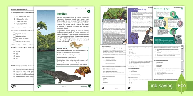 Comprehension Skills Test PDF | Primary NAPLAN Practice