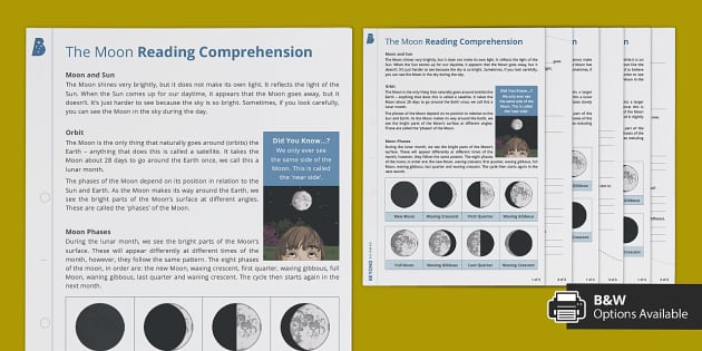Moon Southern Hemisphere Differentiated Comprehension
