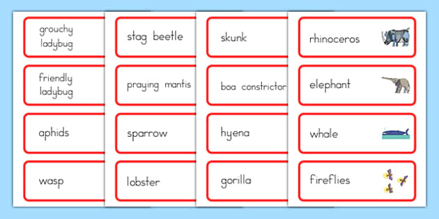 The Grouchy Ladybug Word Cards - usa, america, the grouchy ladybug, word