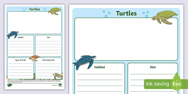 Turtles Fact File Template, turtle, about turtles - Twinkl