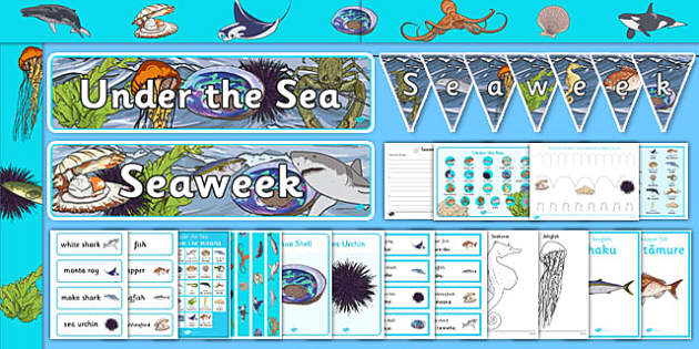 New Zealand Seaweek Resource Pack (Hecho por educadores)
