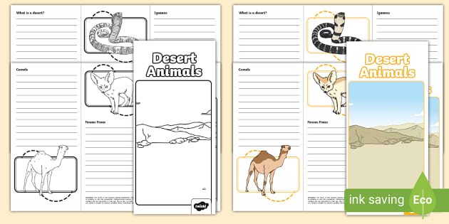 Desert Animals Leaflet Template - Twinkl