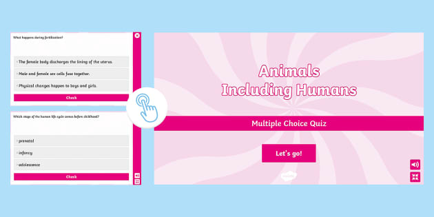 Retrieval Practice: Science: Animals including Humans: Y5: Interactive Quiz