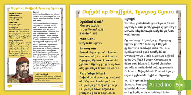 Ffeil Ffeithiau Dafydd ap Gruffydd (teacher made) - Twinkl