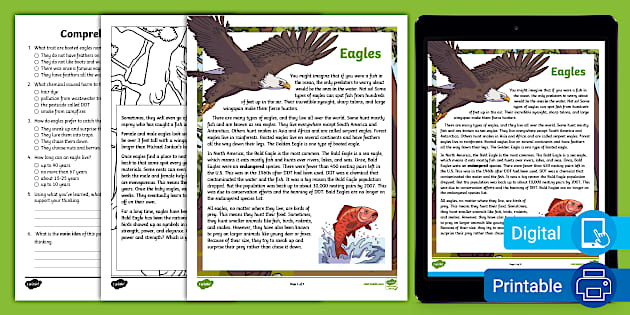 Fourth Grade Eagles Reading Comprehension Worksheet - Twinkl
