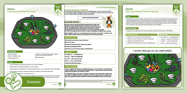 EYFS Science Senses Large Activity Tray: Mini Herb Gardens