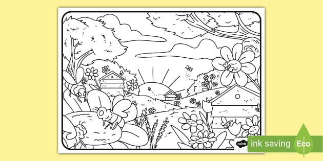 Busy Bee Colouring Challenge (professor feito) - Twinkl