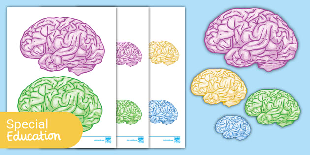 Minds of All Kinds Cutouts (teacher made) - Twinkl