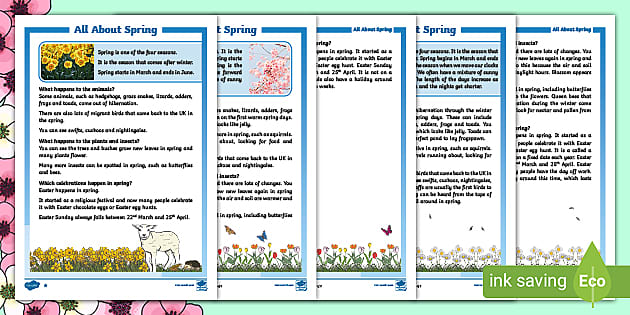 Spring Differentiated Reading Comprehension Worksheets - Twinkl