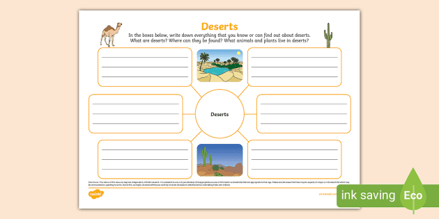 Desert Ecosystem For Kids