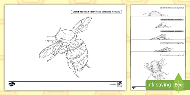 World Bee Day (Collaborative Colouring Activity) - Twinkl
