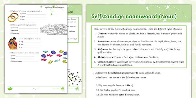 Graad 4 Afrikaans EAT - Kwartaal 3 - Woordsoorte - Selfstandige Naamwoord