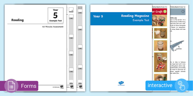 Comprehension Skills Test PDF | Primary NAPLAN Practice