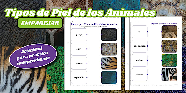 Guía de Trabajo: Emparejar - Tipos de Piel de los Animales