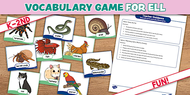 Pet Palooza Vocabulary Game for ELL (teacher made) - Twinkl