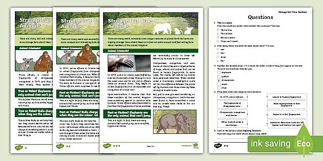 LKS2 Strange but True: Animals Differentiated Reading Comprehension ...