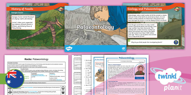 Year 4 Science Rocks Lesson 4 Palaeontology (teacher made)