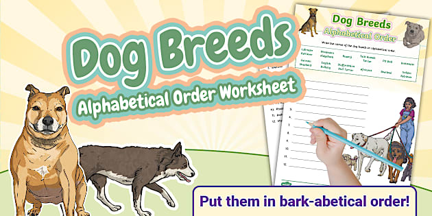 Dog Breeds - Alphabetical Order Worksheet (CAPS Aligned)