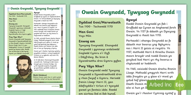 Ffeil Ffeithiau Owain Gwynedd (Teacher-Made) - Twinkl