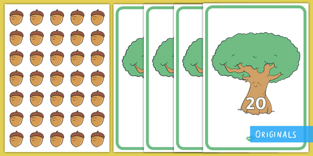 Acorn and Oak Tree Counting to 20 (teacher made) - Twinkl