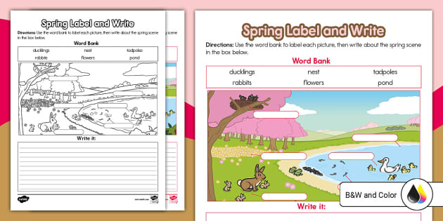 Kindergarten Spring Label and Write Activity (Teacher-Made)