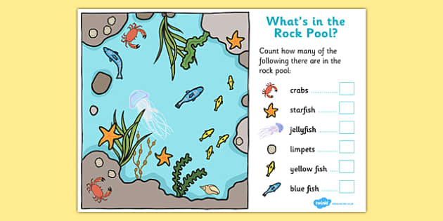 FREE! - Rockpool Counting Activity (teacher made)