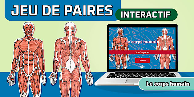 Jeu de paires interactif : Le corps humain