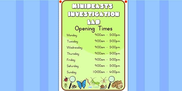 Minibeasts Investigation Lab Opening Times - Twinkl