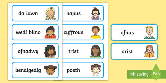 Feelings Face Matching Cards Welsh