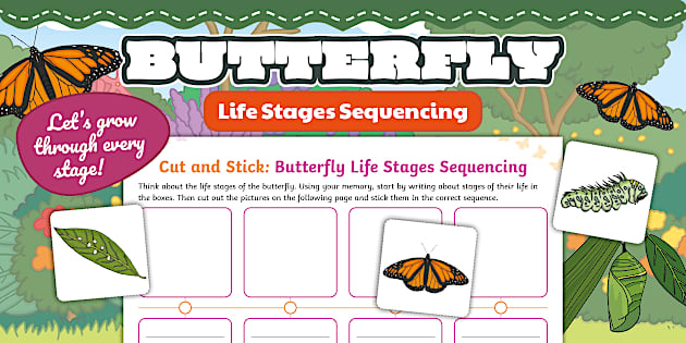 Cut and Stick: Butterfly Life Stages Sequencing Worksheet