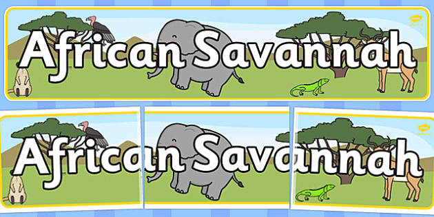 FREE! - African Savannah Display Banner (teacher made)
