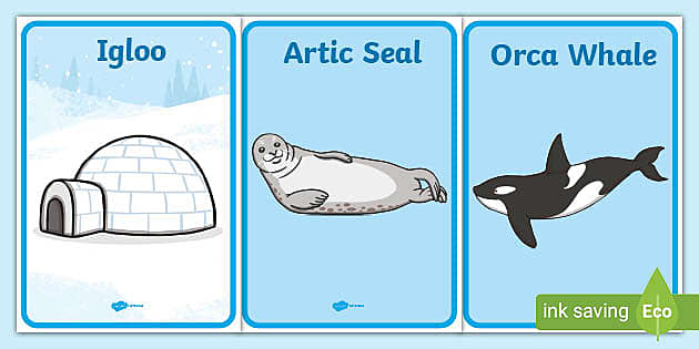 Large Arctic Display Posters (teacher made) - Twinkl