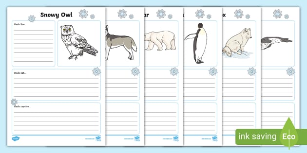 Polar Animals Fact File Worksheets (teacher made) - Twinkl