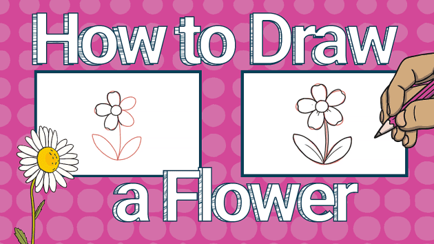 How to Draw Flowers | Twinkl Kid's TV (teacher made)