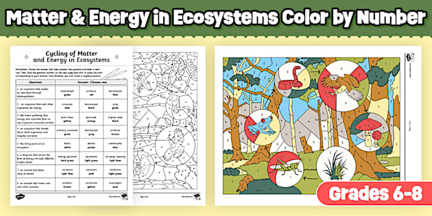 Matter and Energy in Ecosystems Color by Number Worksheet