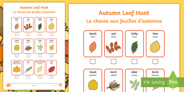 Autumn Leaf Hunt Worksheet / Worksheet English/French