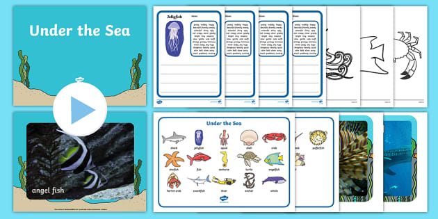 KS1 Under the Sea Lesson Plan Ideas and Resource Pack - under the sea