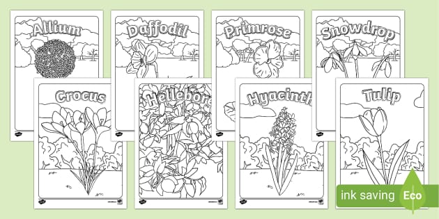 Spring Flower Colouring Pages (teacher made) - Twinkl
