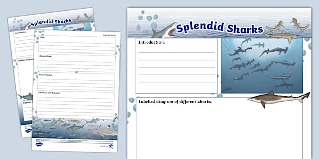 Sharks Non-Chronological Report Template (teacher made)