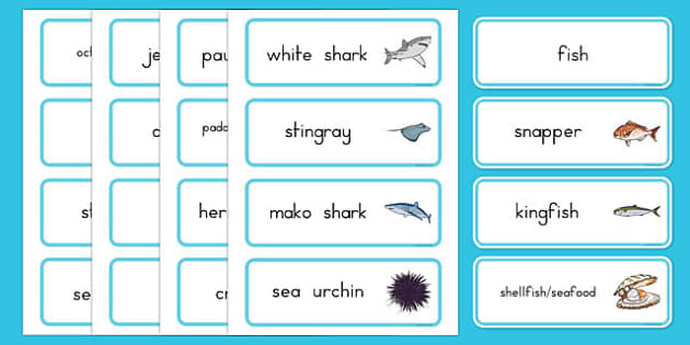 Under the Sea Word Cards (teacher made)