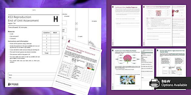 KS3 Reproduction Higher Assessment Pack | Beyond Science
