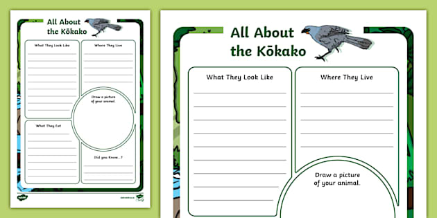 Year 3-4 Native Bird Report Writing - Kōkako (teacher made)